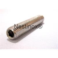 Nestinox : Slotted Scrub Screws